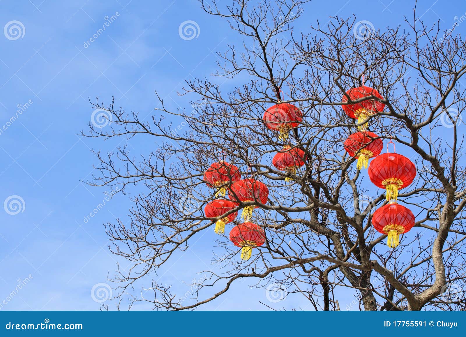 Red lanterns on tree stock image. Image of tree, tradition - 17755591