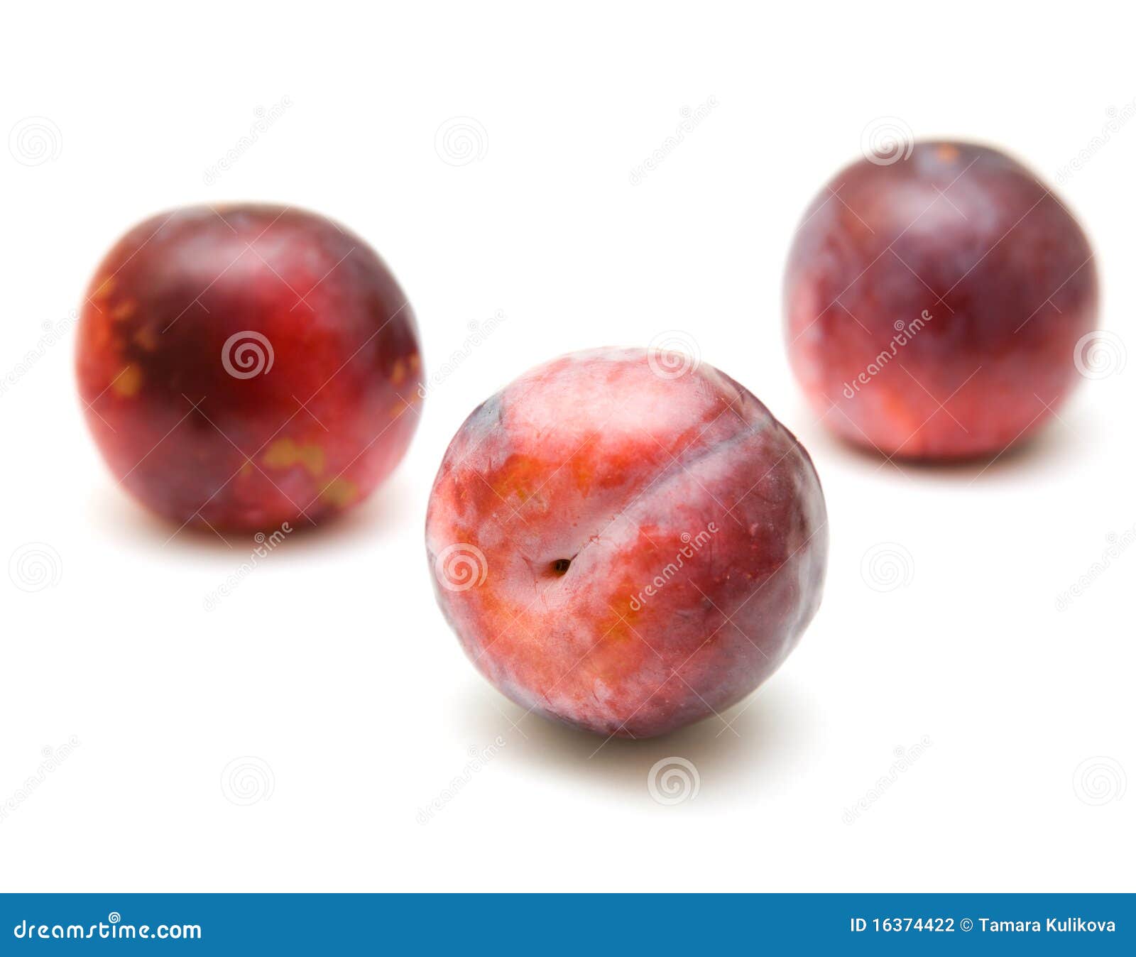 Red large plums stock photo. Image of vegetarian, fruit - 16374422