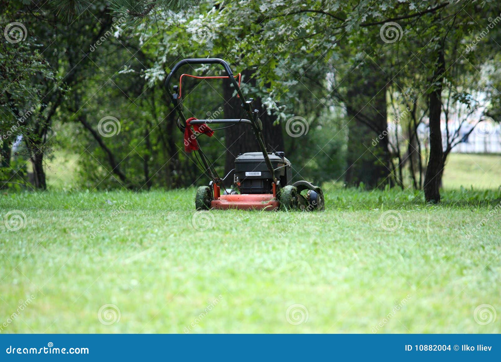 Red lawn mower stock photo. Image of maintenance, blades - 10882004