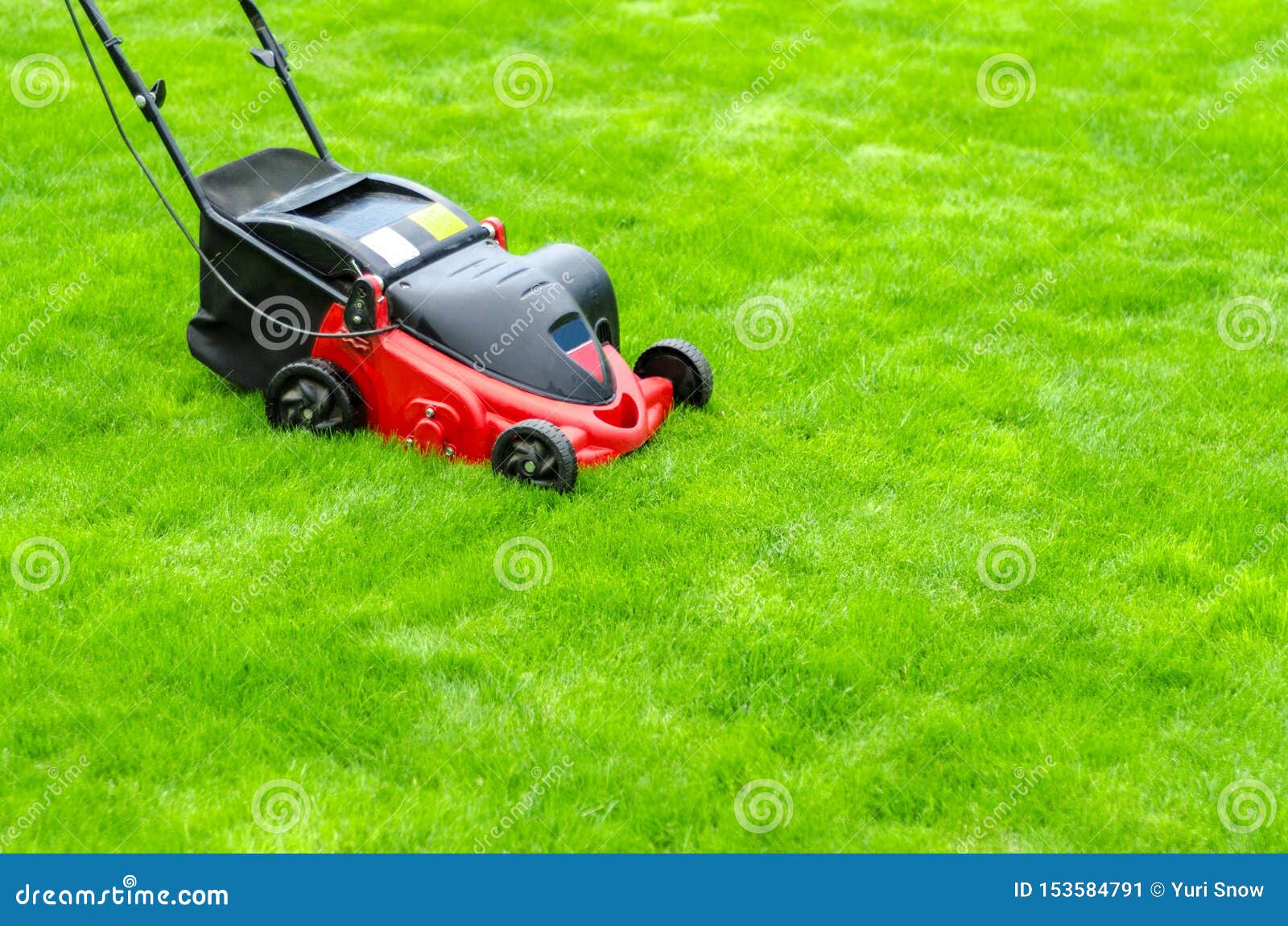Red Lawn Mower on Green Grass Stock Image - Image of ground ...