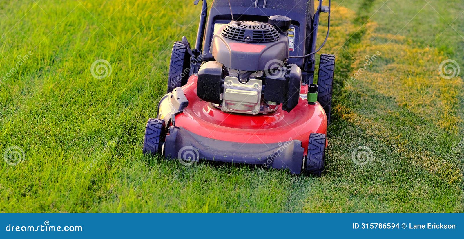Red Lawn Mower in Lush Green Grass Mowing Lawn Stock Photo - Image of ...