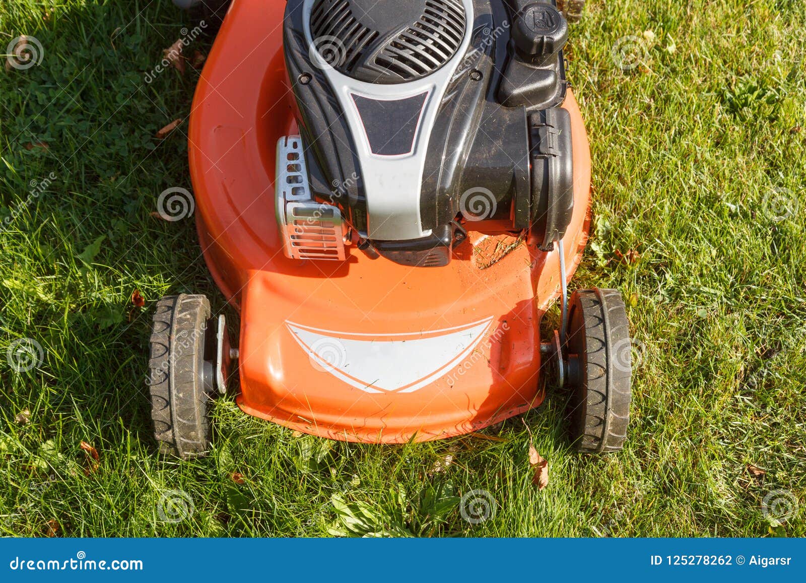 Red lawn mower stock photo. Image of meadow, cutter - 125278262