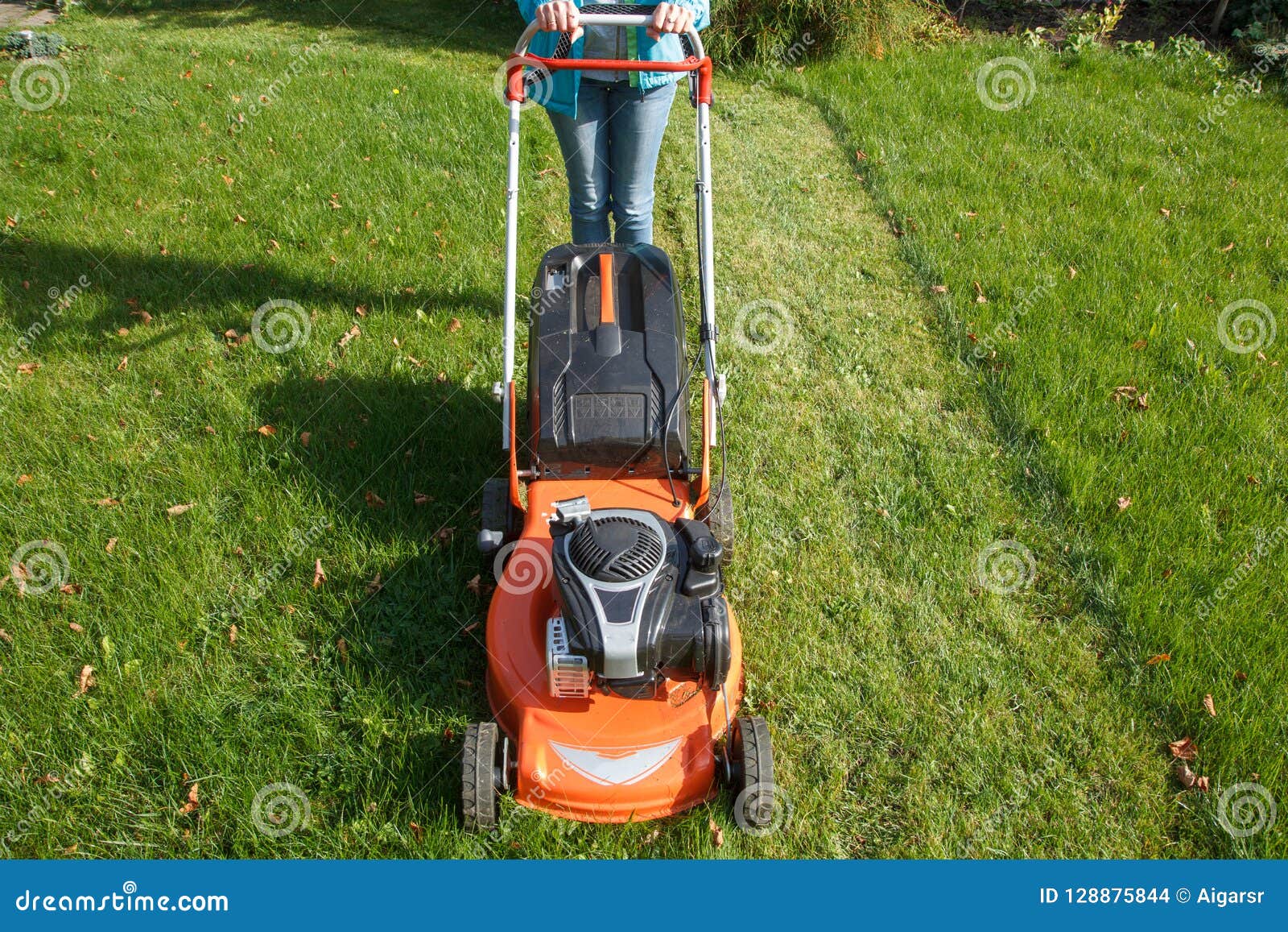 Red lawn mower stock photo. Image of gardening, engine - 128875844