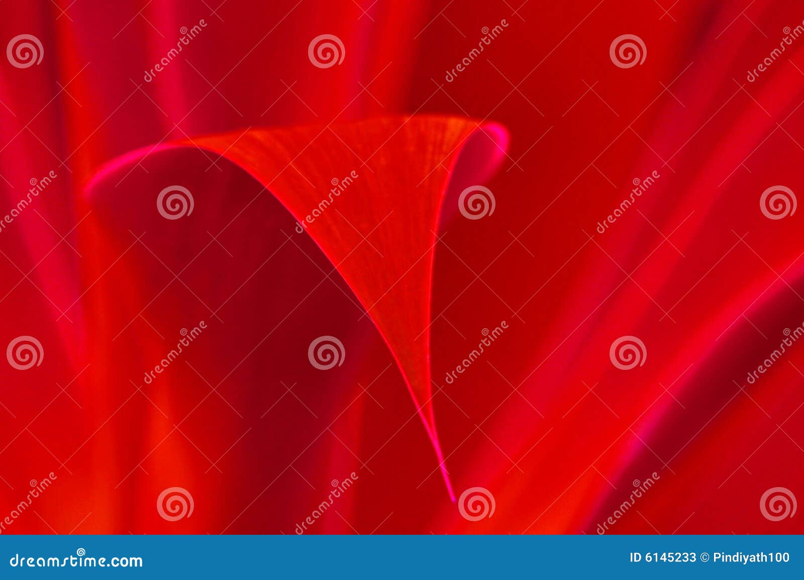 Ruby Red Color Pictures And Images - RGB Color Hex Code [#C00000 - 56%]