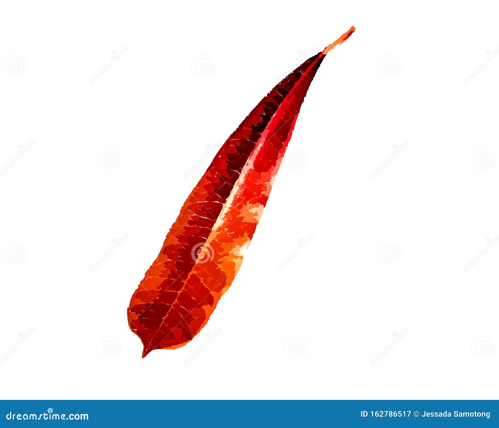Red Leaf Illustration on a White Background. Stock Illustration ...