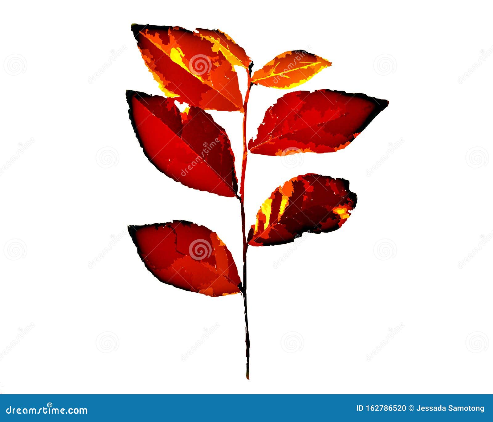Red Leaf Illustration on a White Background. Stock Illustration ...