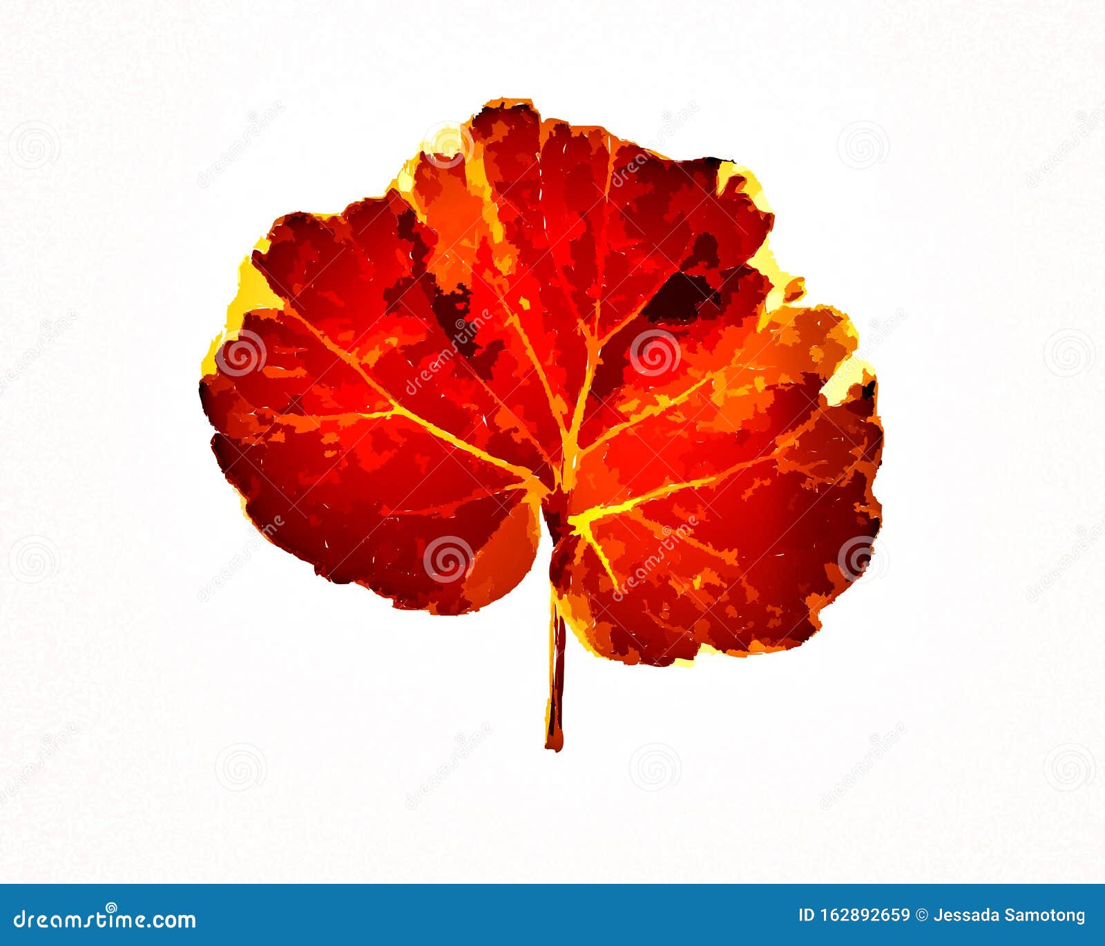 Red Leaf Illustration on a White Background. Stock Illustration ...