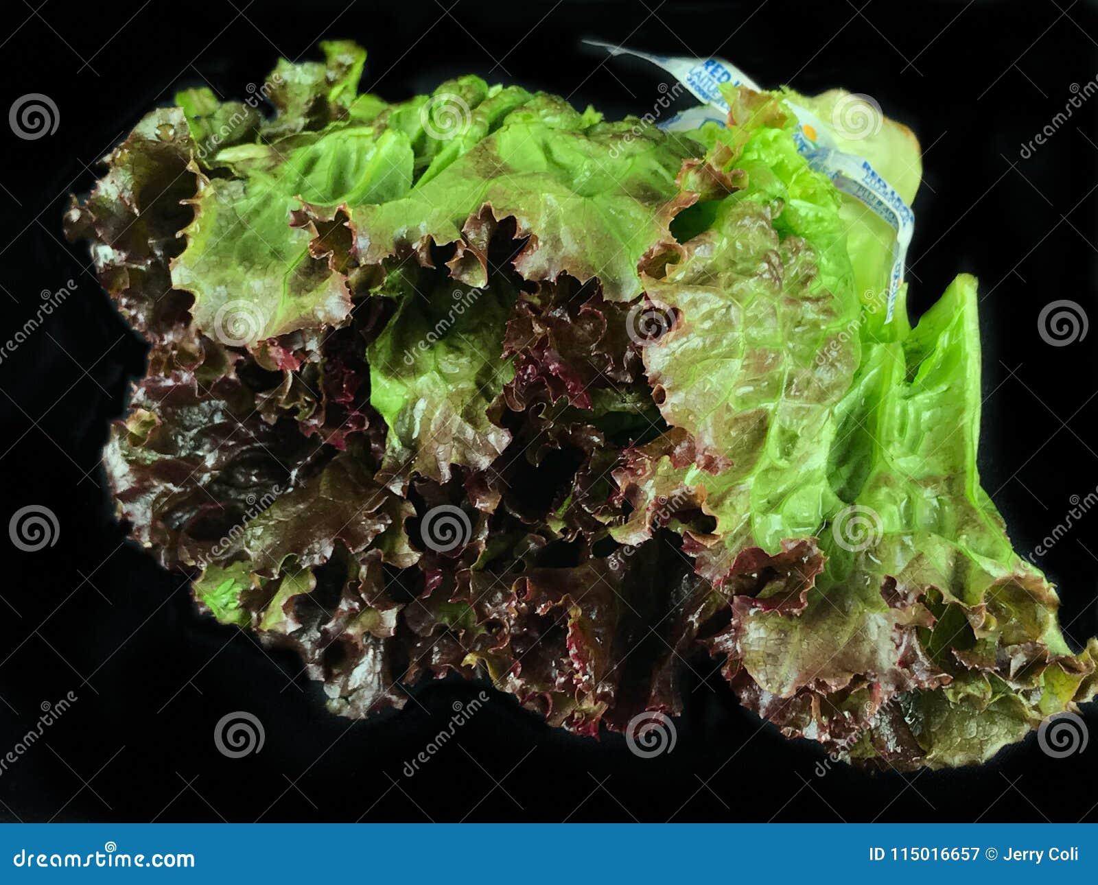 Red Leaf Lettuce stock image. Image of backdrop, food - 115016657