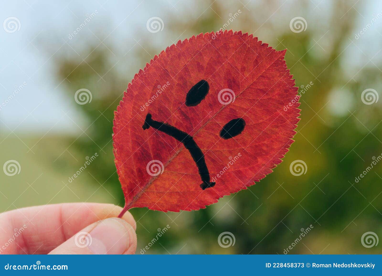 Red Leaf with Painted Sad Face Stock Image - Image of sign, character ...