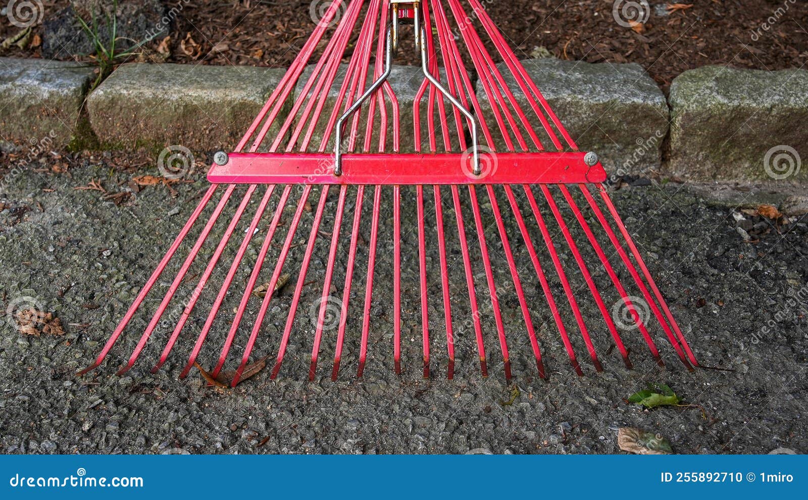 Red Leaf Rake Close Up Otside Stock Photo - Image of tool, tools: 255892710