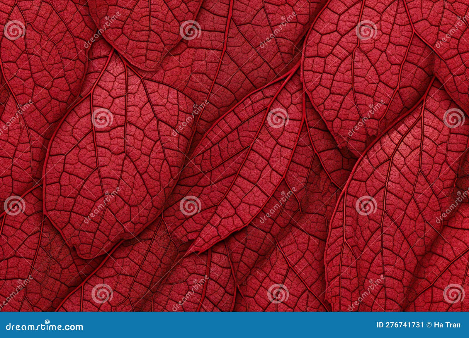 Red Leaf Texture Background, Leaf Pattern, Leaf Texture, Leaf Texture ...