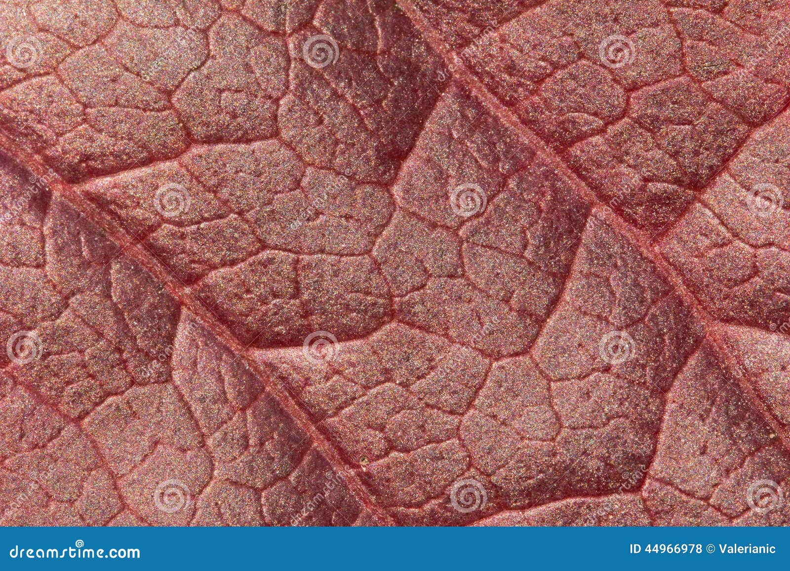 Red leaf texture stock photo. Image of autumn, macro - 44966978
