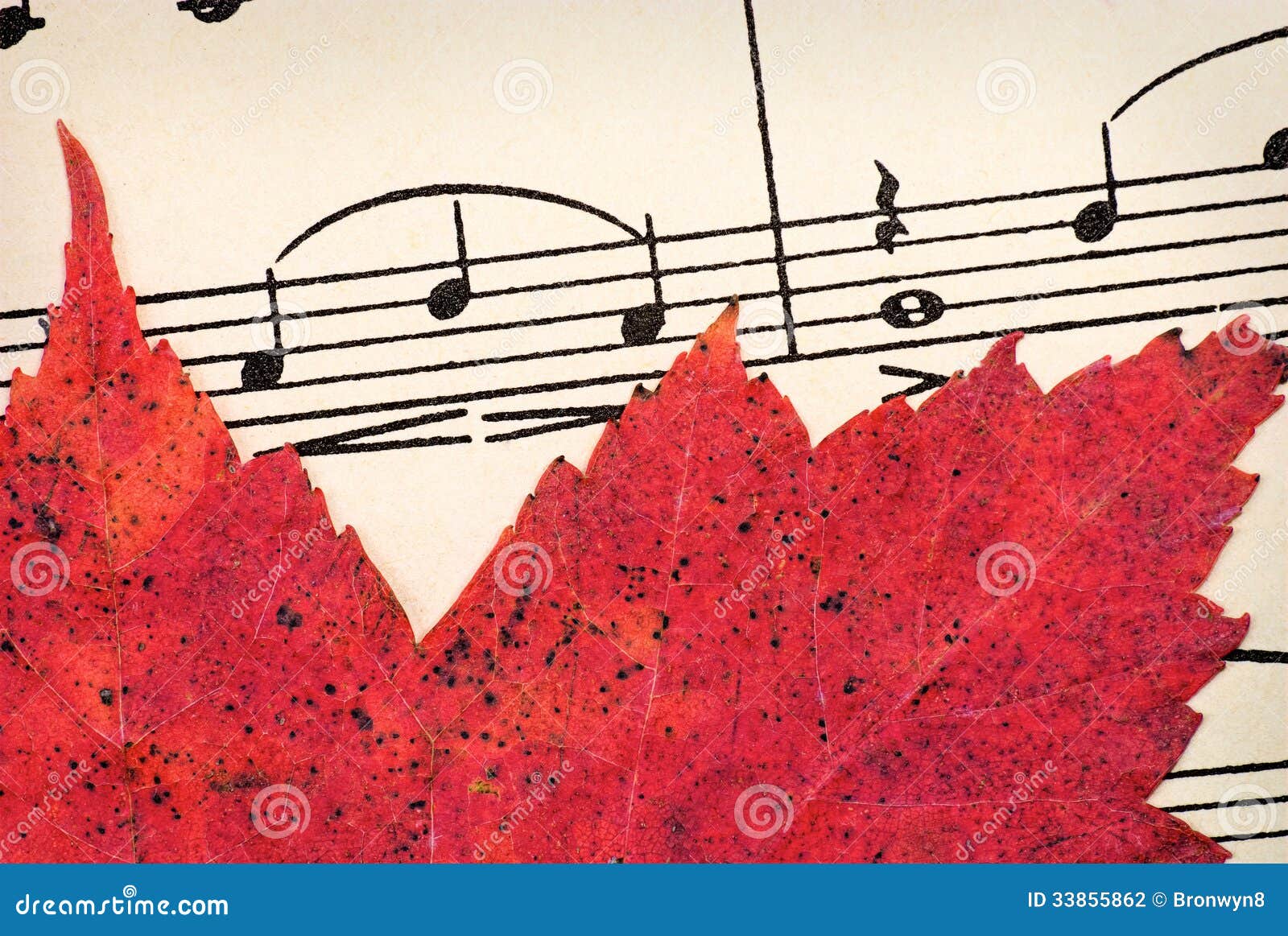 Red Leaf on Vintage Music stock photo. Image of autumn - 33855862