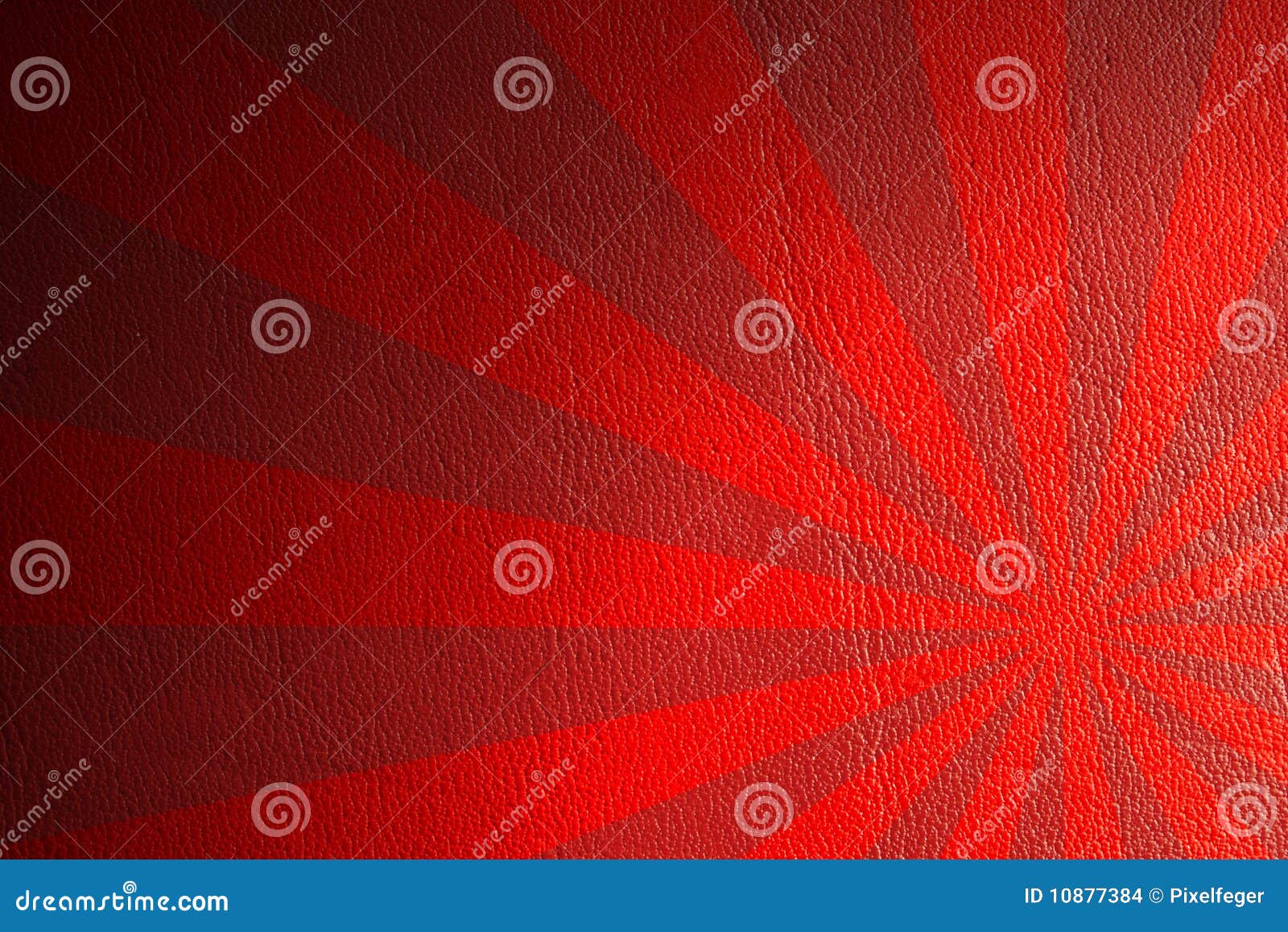 Leather Tanning Stock Illustrations – 109 Leather Tanning Stock ...