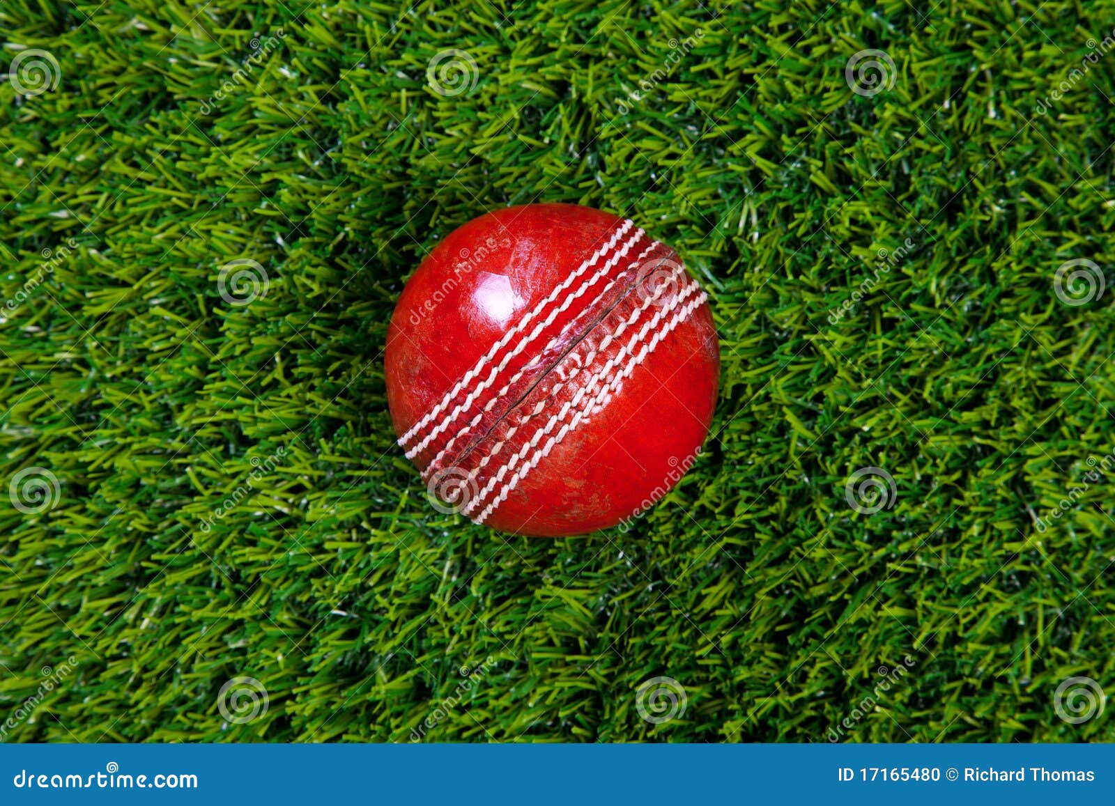 Red Leather Cricket Ball on Grass Stock Photo - Image of single, grass ...