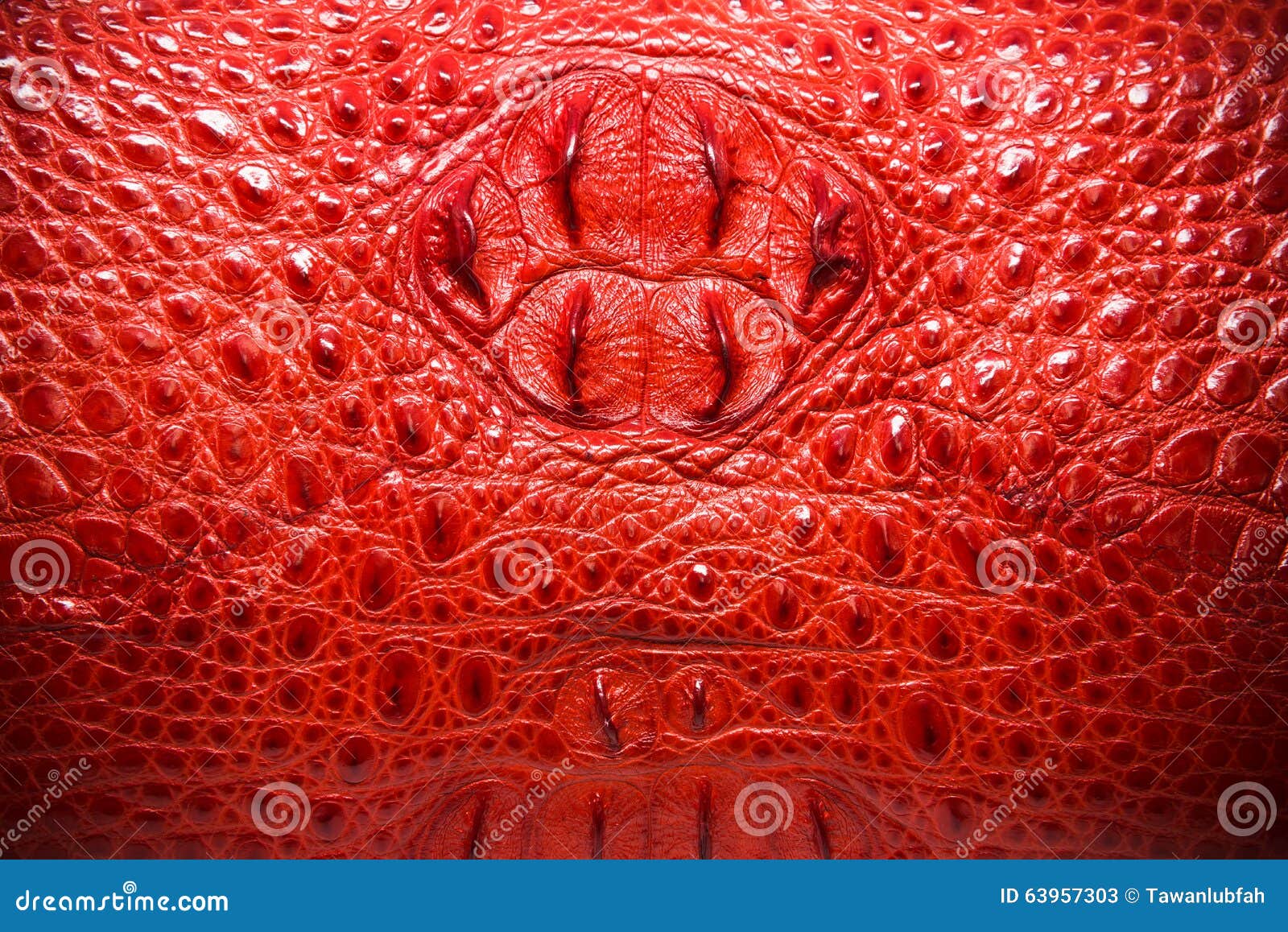 Red Leather Texture, Crocodile Skin Background. Stock Image - Image of ...