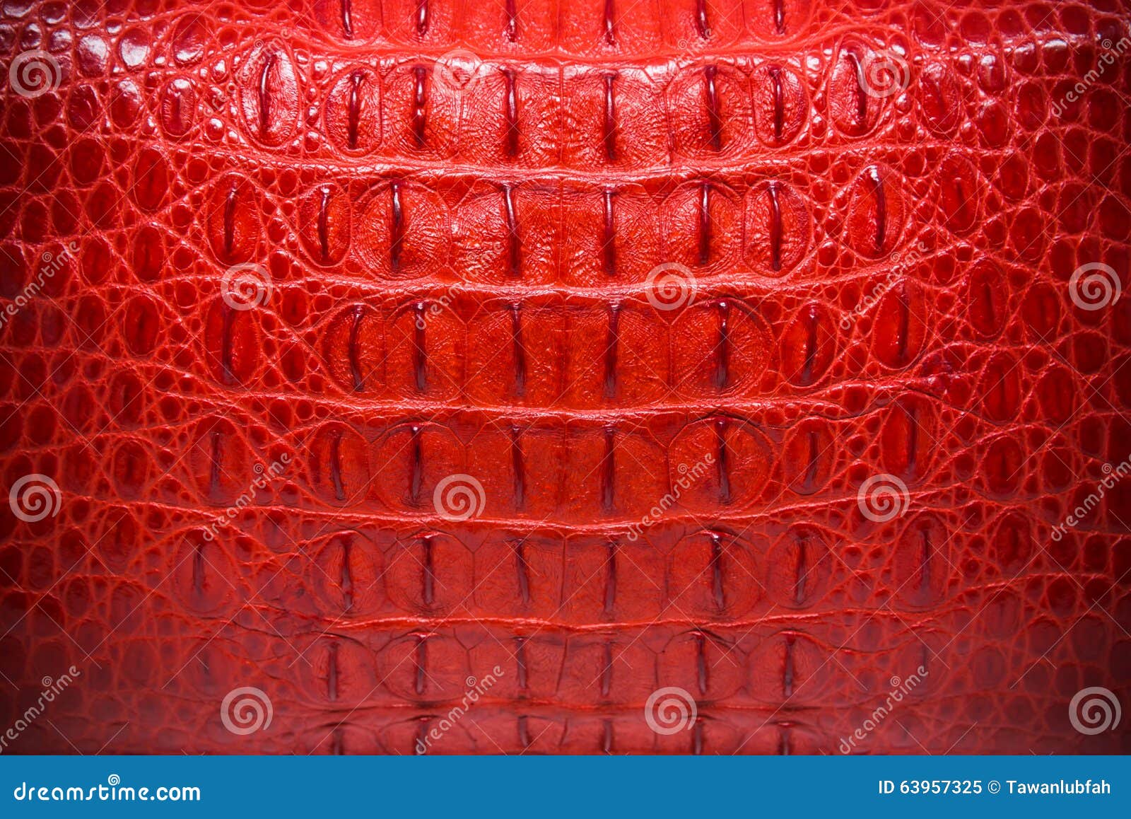 Red Leather Texture, Crocodile Skin Background. Stock Image - Image of ...