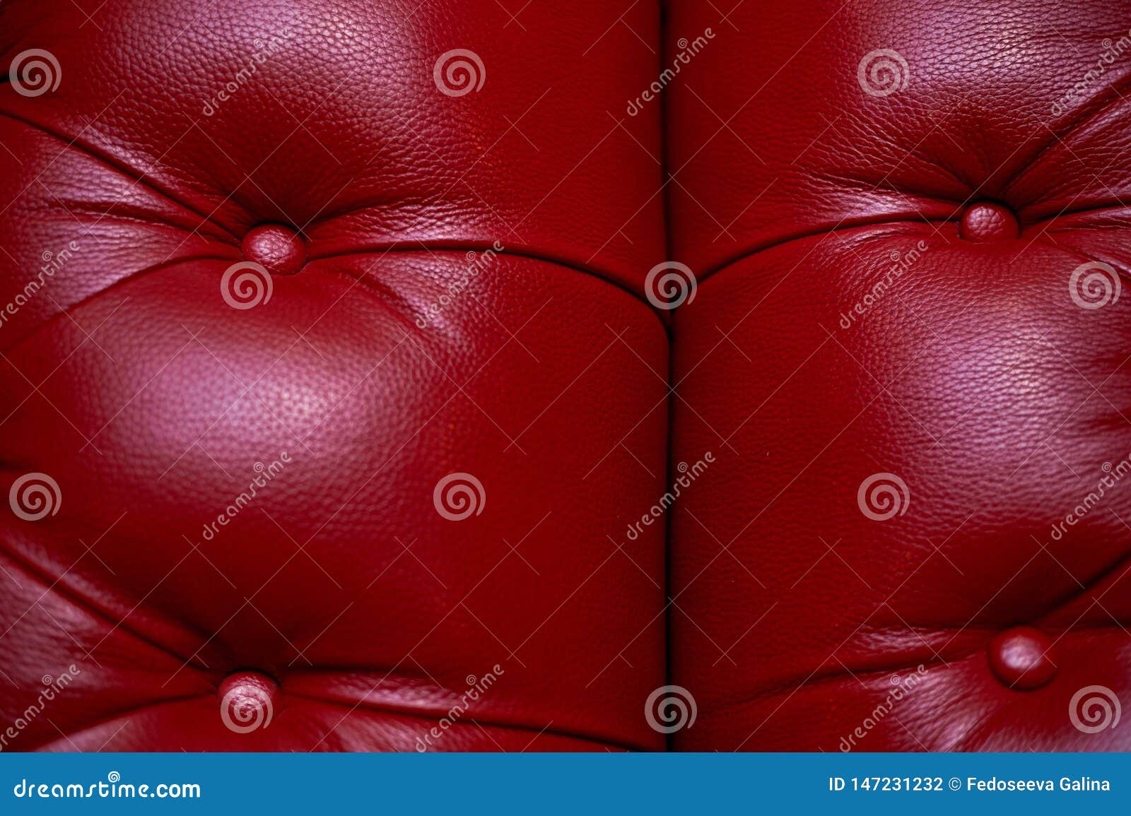 The Red Leather Upholstery of Sofa, Padding with Buttons.Texture. Stock ...