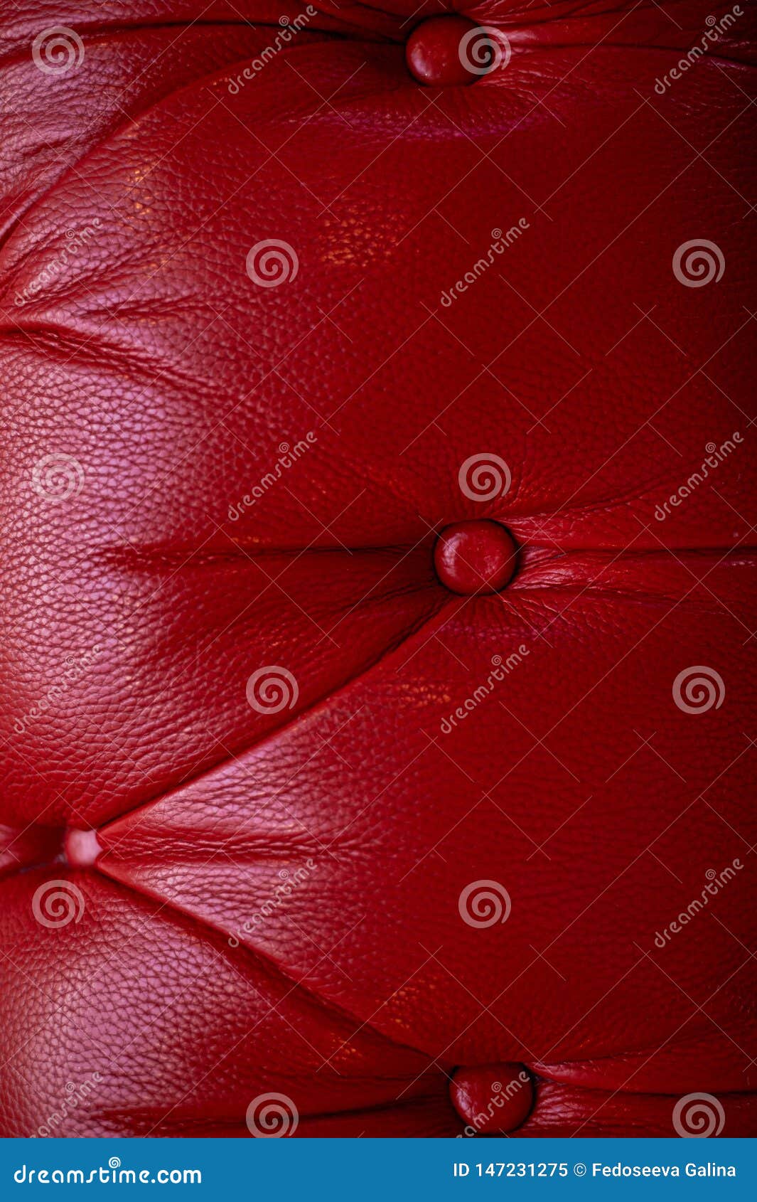 The Red Leather Upholstery of Sofa, Padding with Buttons.Texture. Stock ...