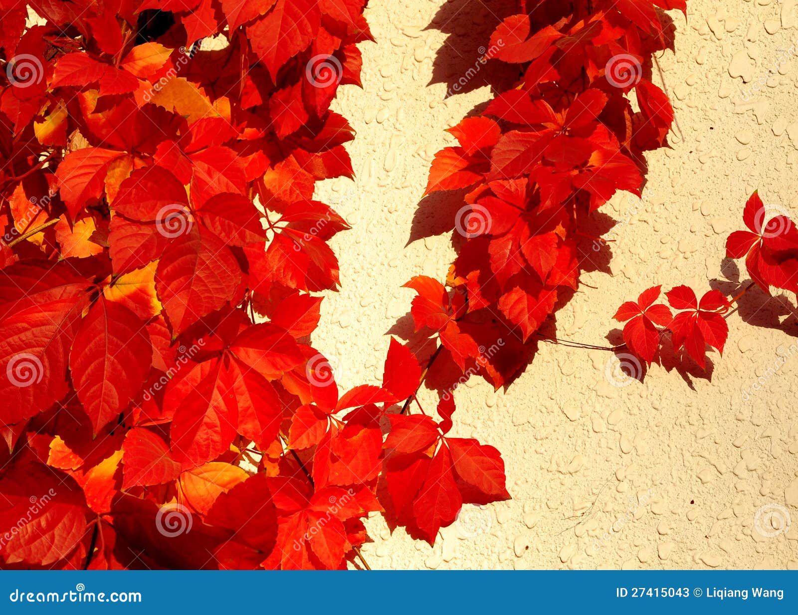 Red leaves stock illustration. Illustration of leaf, pattern - 27415043