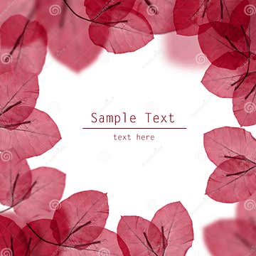 Red leaves border stock photo. Image of green, october - 6707752