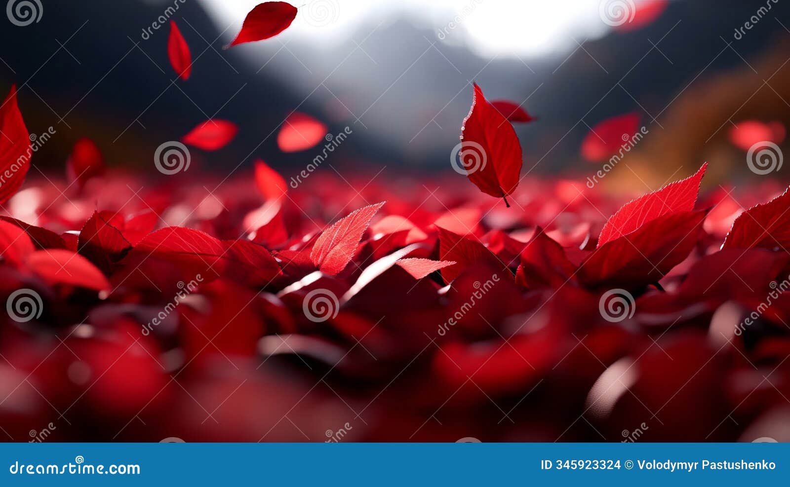 Red Leaves Falling Down on the Ground Stock Photo - Image of creating ...