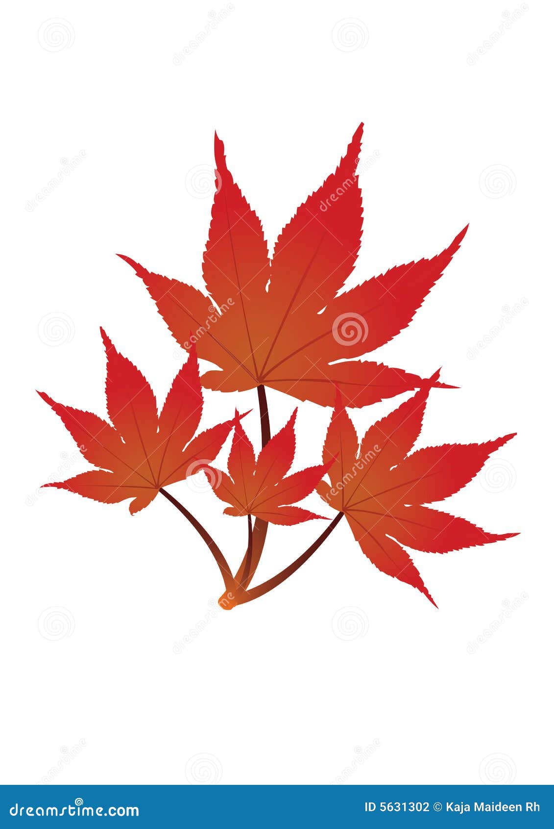 Red leaves - vector stock vector. Illustration of curve - 5631302