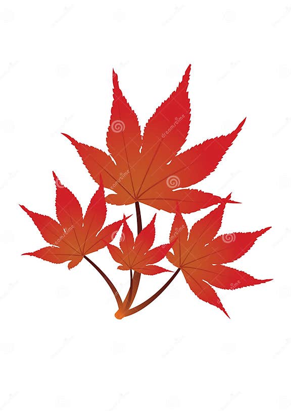 Red leaves - vector stock vector. Illustration of curve - 5631302