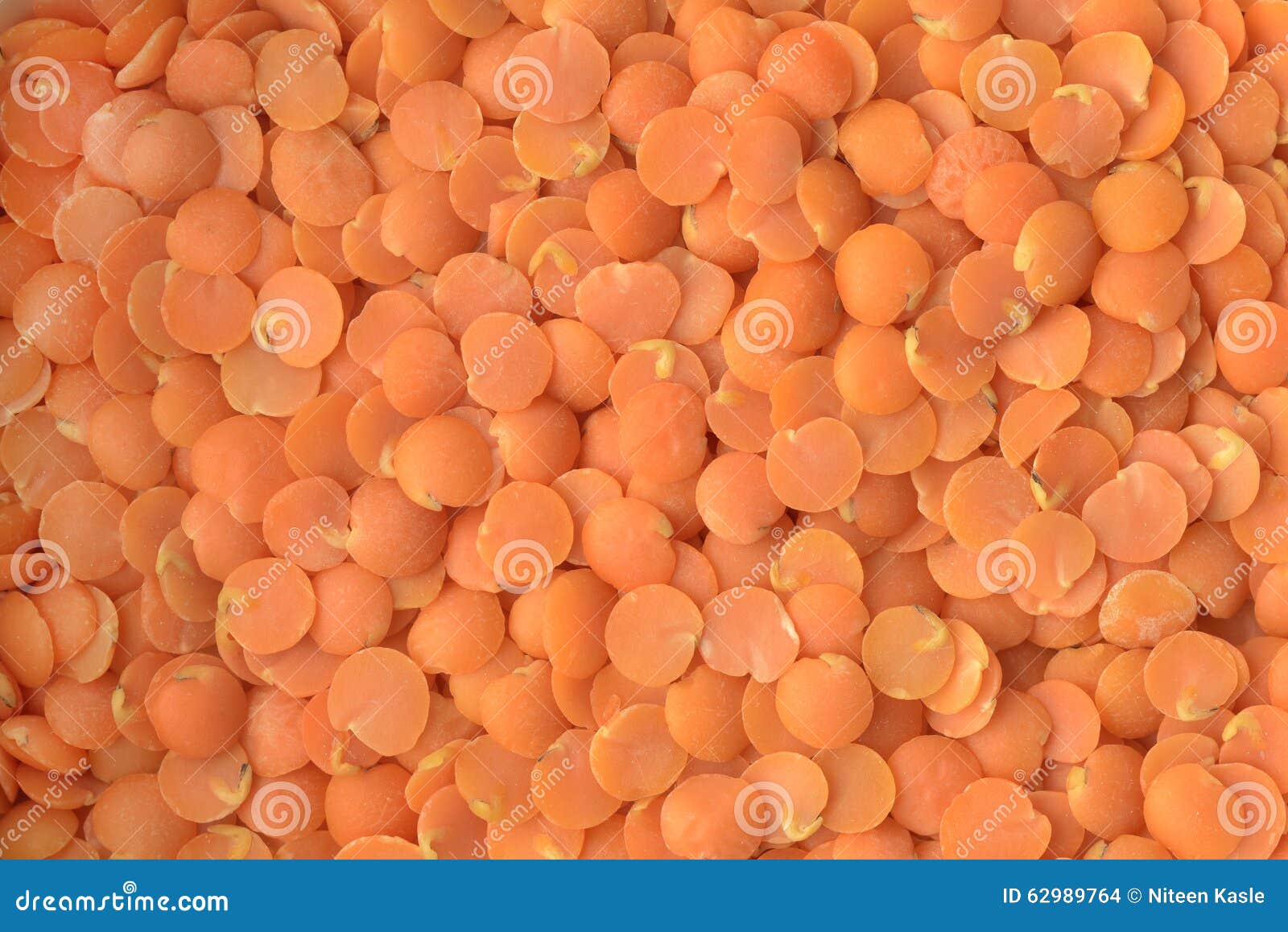 Red Lentil stock photo. Image of shot, group, close, nstudio - 62989764