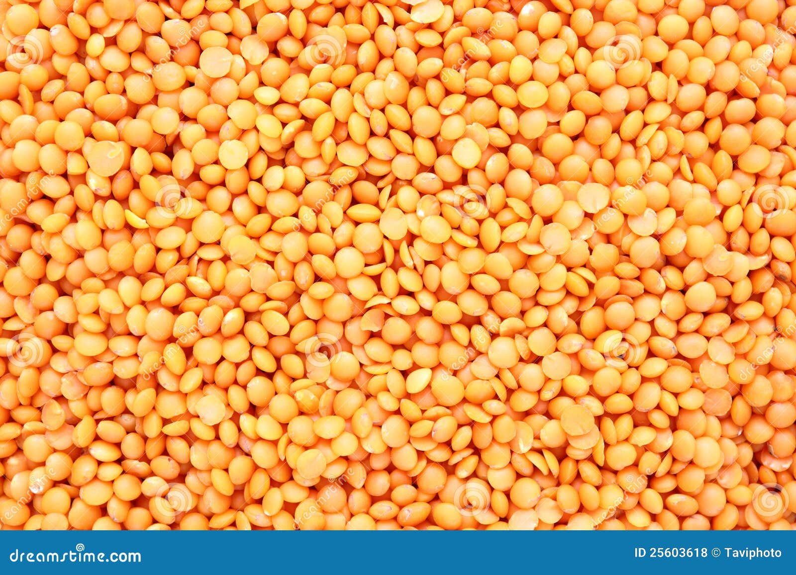 Red lentil texture stock photo. Image of esculenta, lentil - 25603618