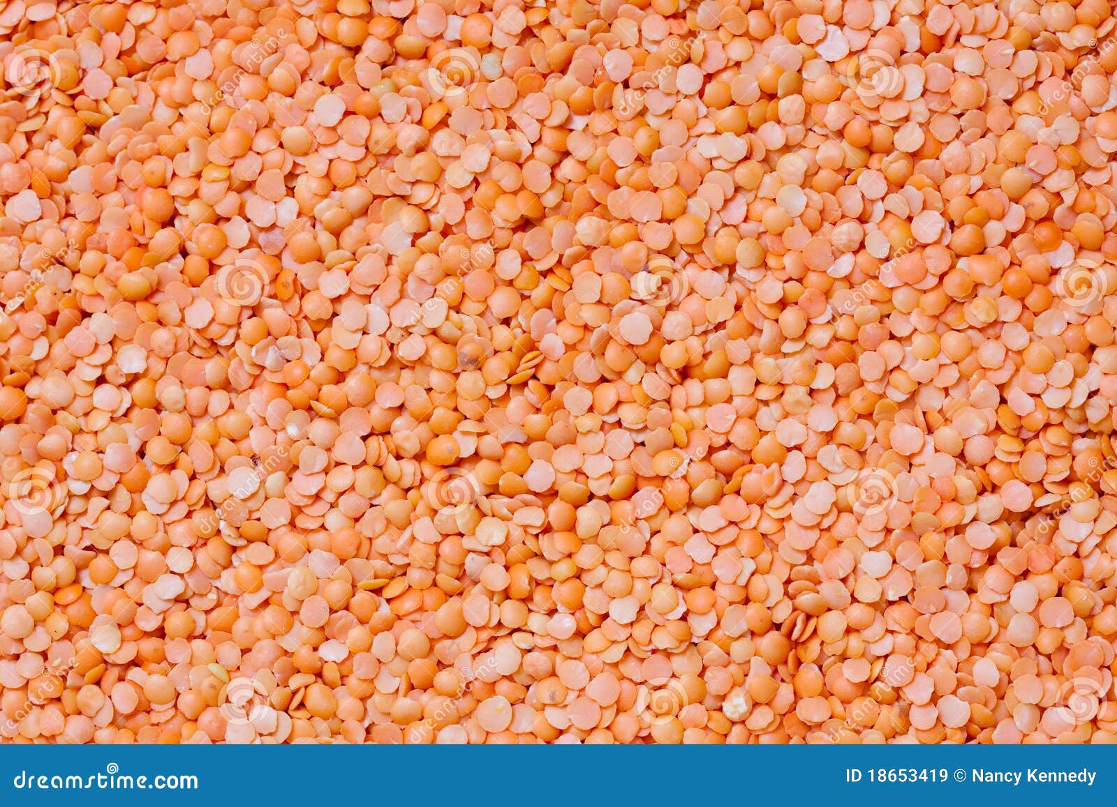 Red Lentils stock image. Image of protein, nutritious - 18653419