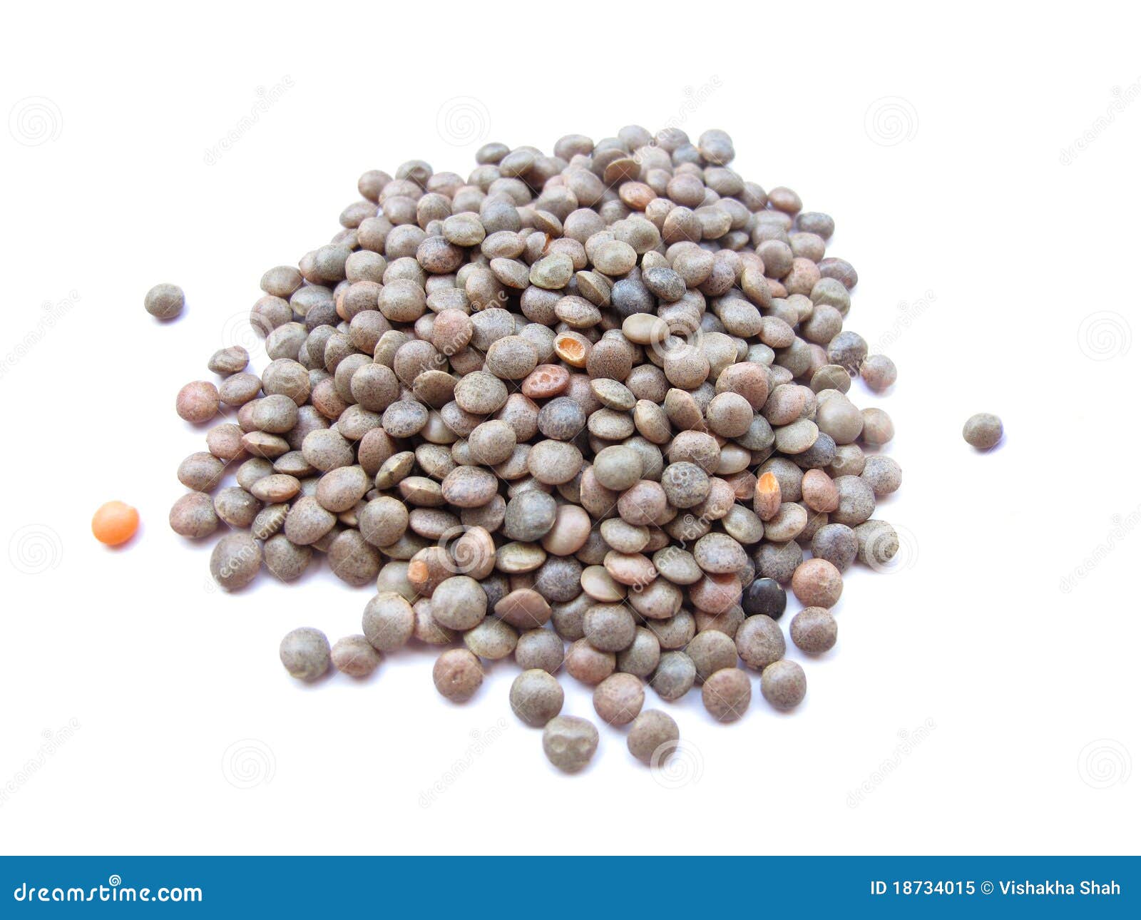 Red Lentils stock image. Image of lentils, skin, nutrients - 18734015
