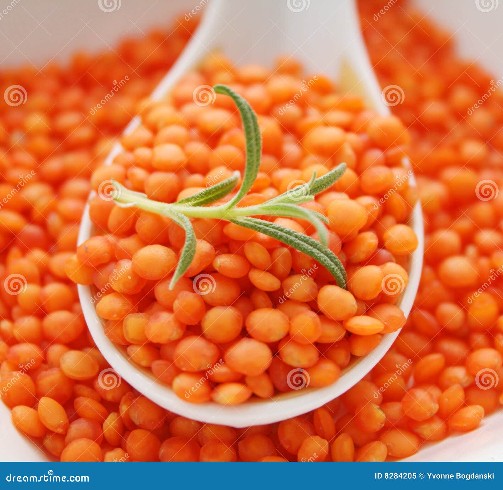 Red lentils stock image. Image of cooking, vegetables - 8284205