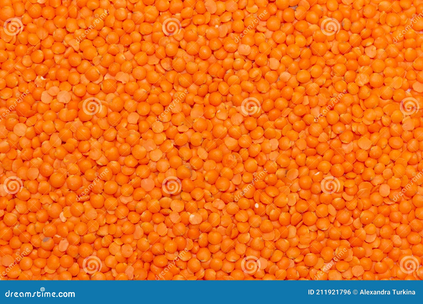 Red Lentils Background, Lentil Pattern, Lentil Texture Top View Macro ...