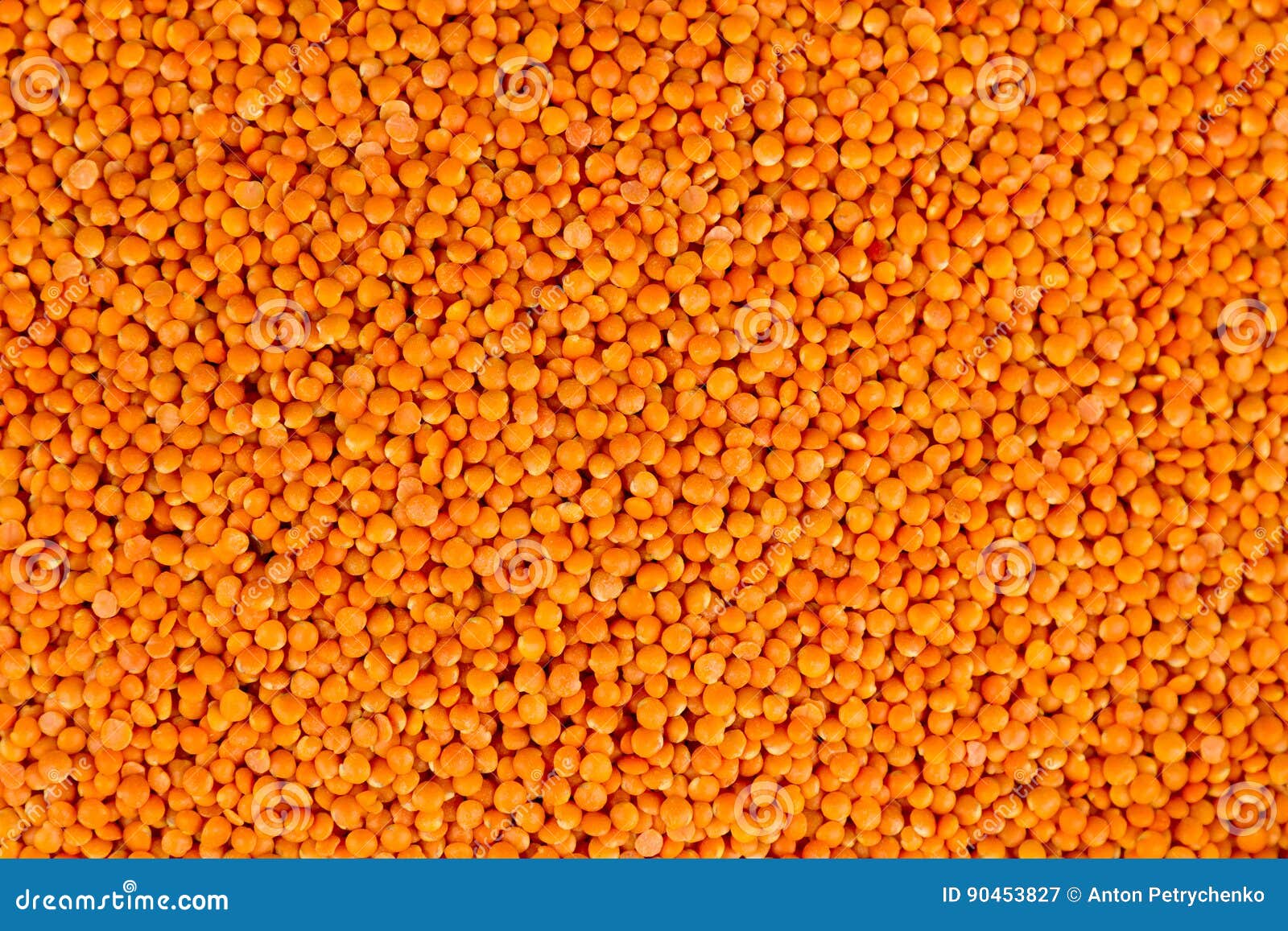 Red Lentil Texture In The Background Royalty-Free Stock Photography ...