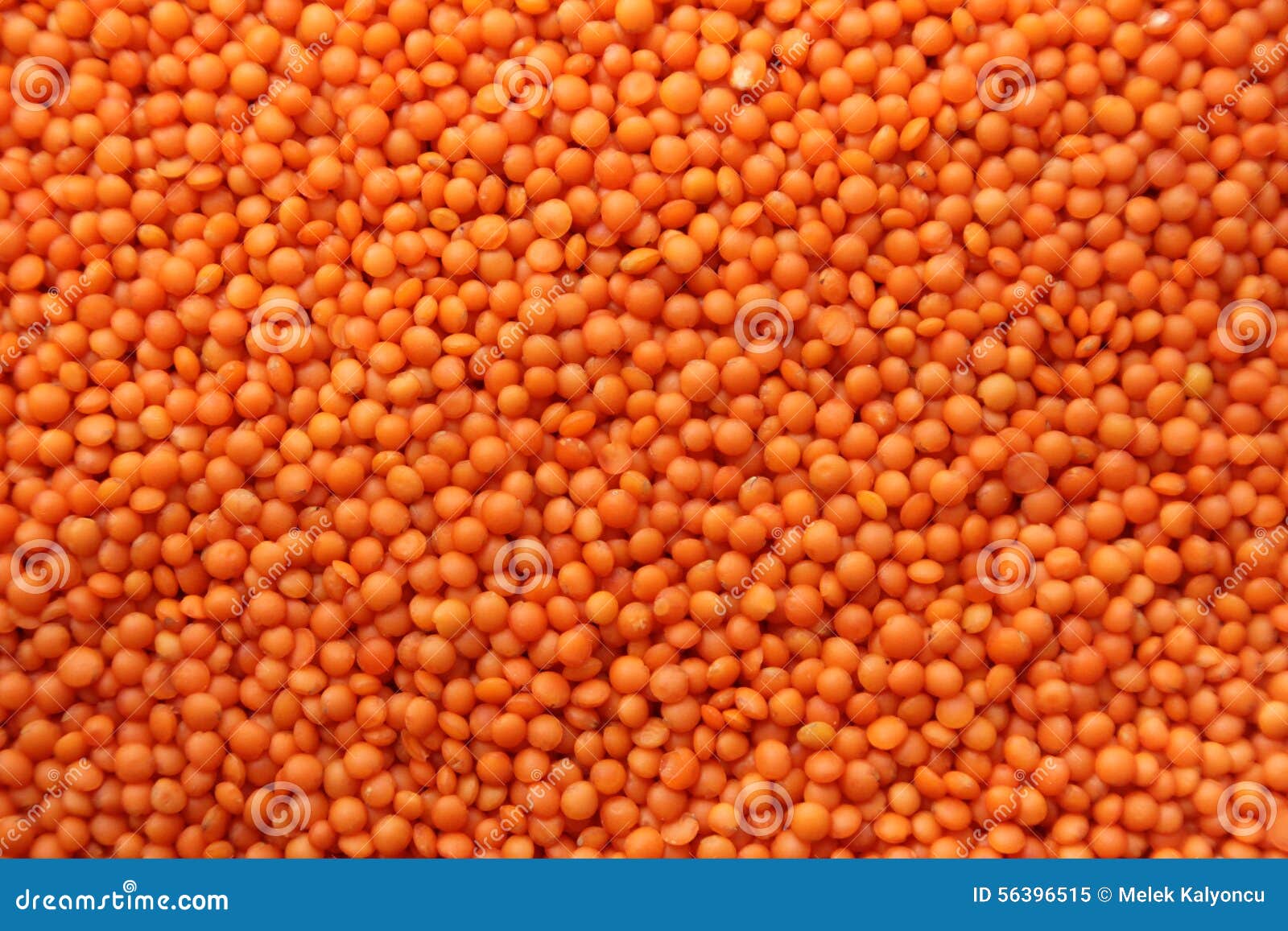Red lentils stock image. Image of glycemic, index, foodstuff - 56396515