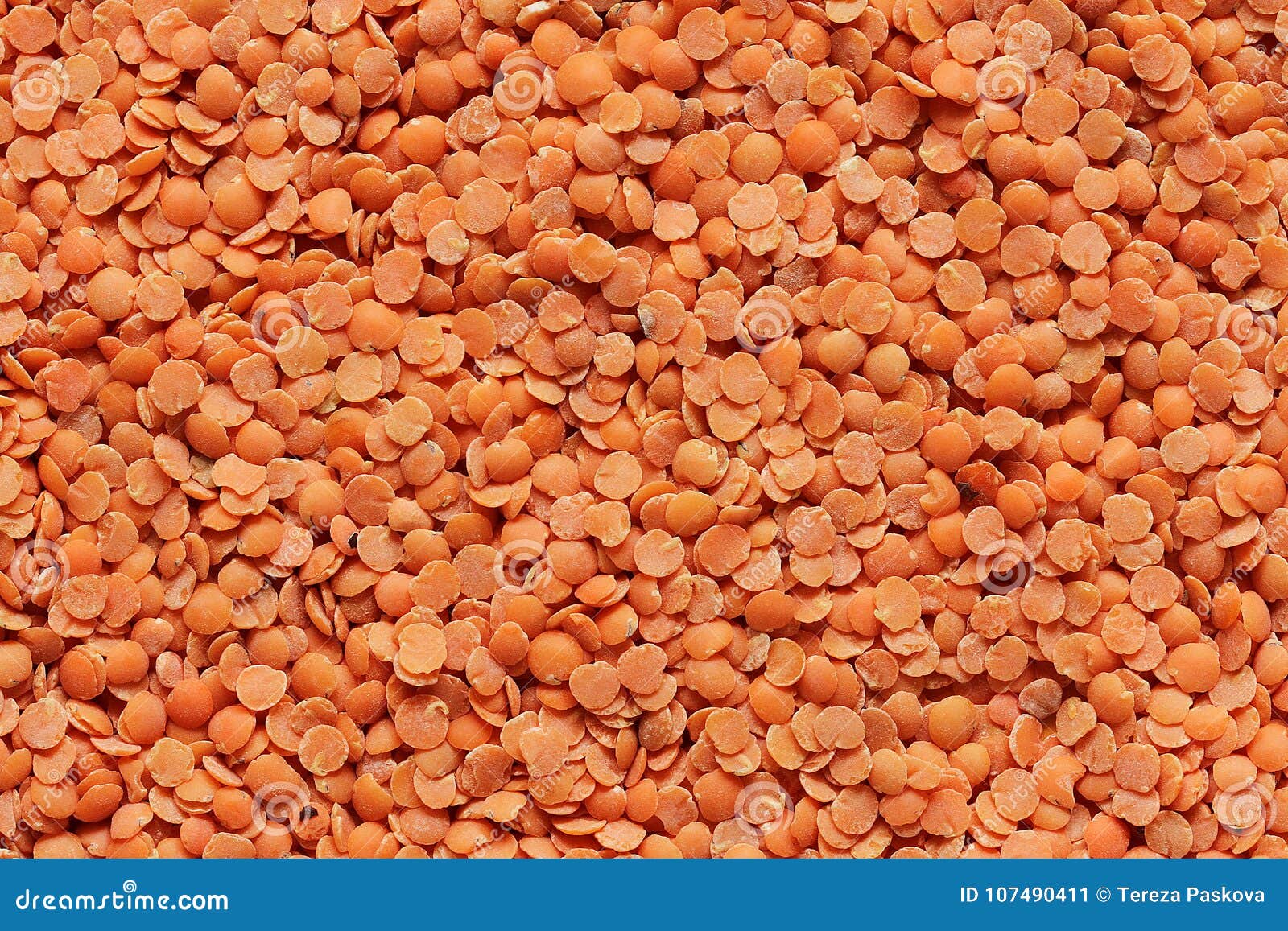 Red lentils texture stock image. Image of natural, nutrition - 107490411