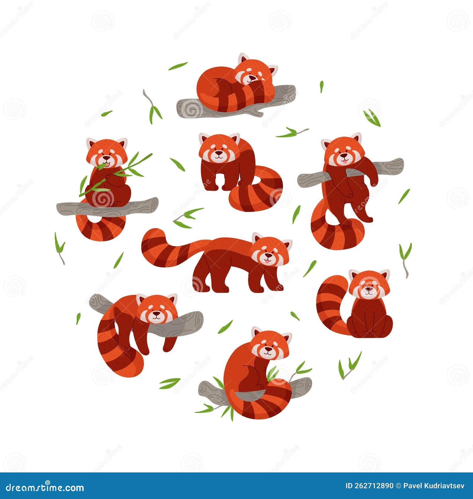 Red or Lesser Panda Characters in Circle, Flat Vector Illustration ...