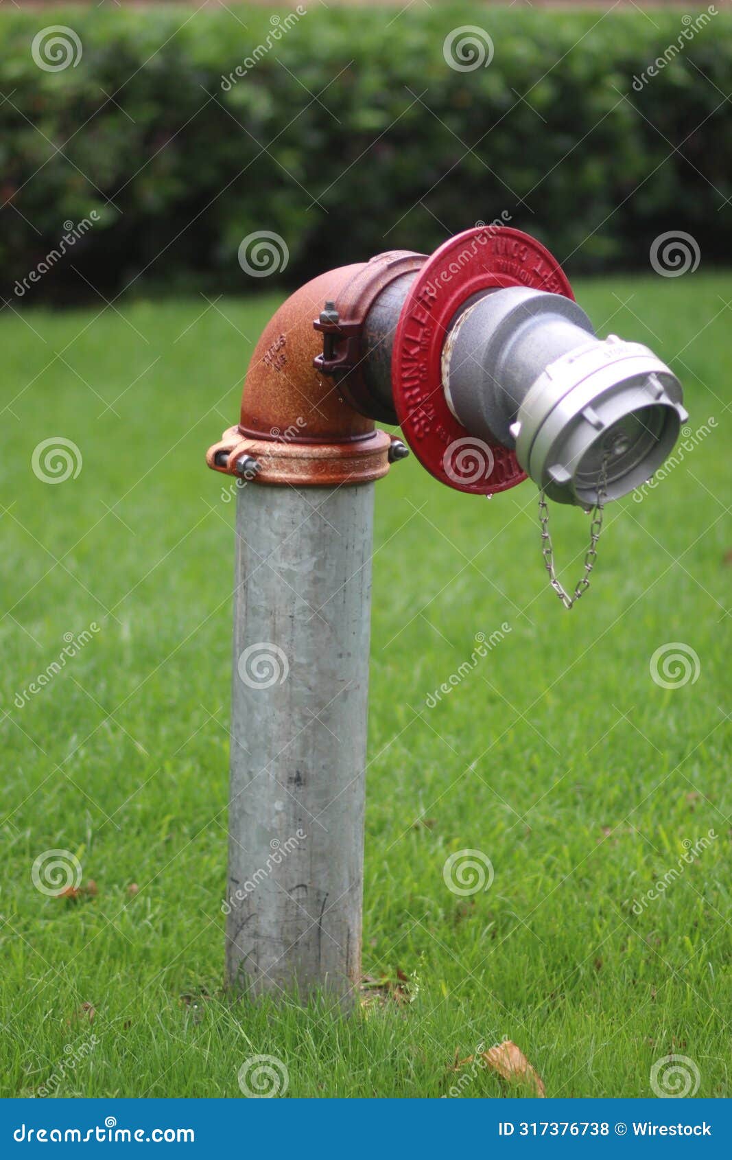 Red-lidded Fire Hydrant on Green Grass Stock Photo - Image of fireplug ...