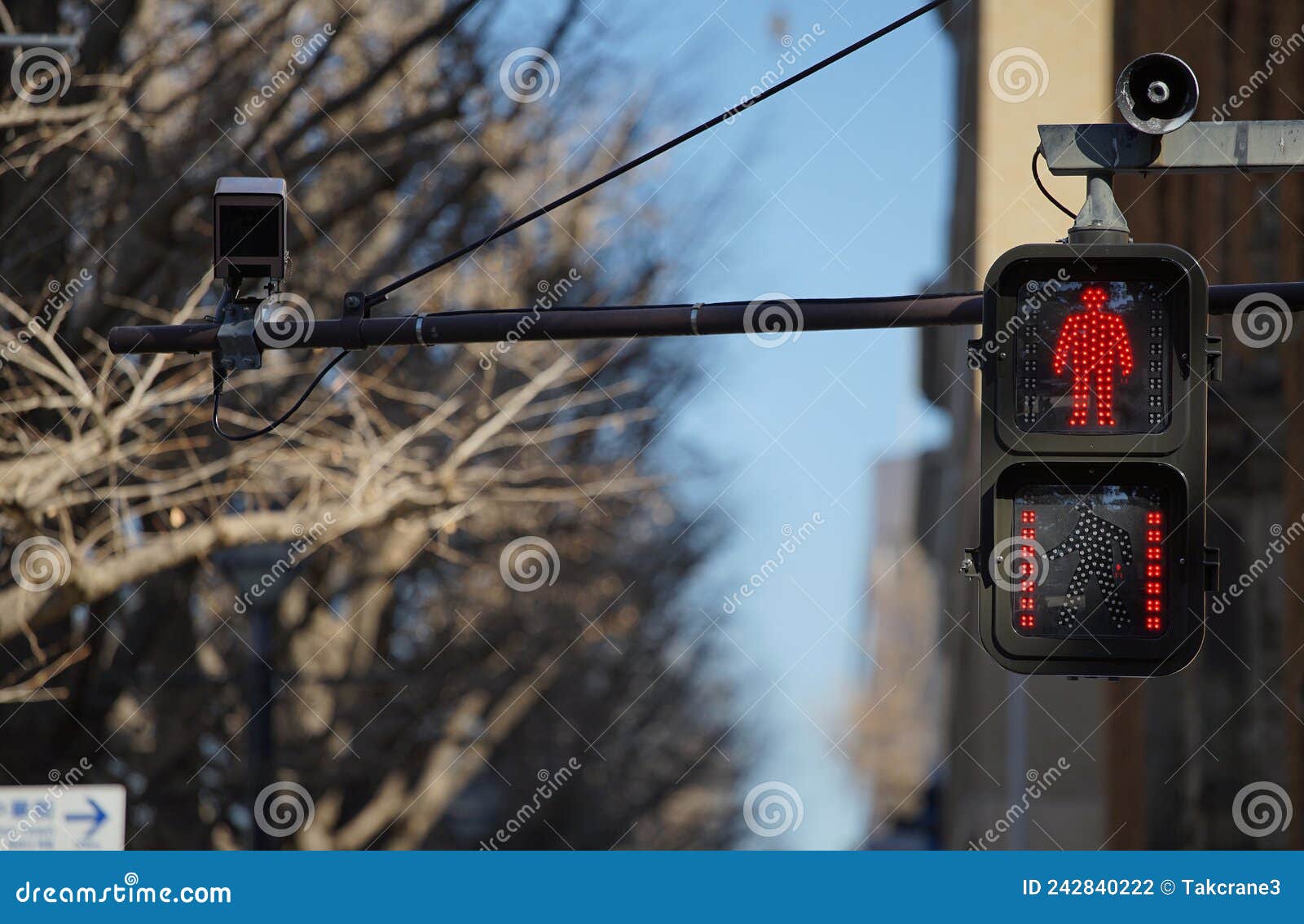 Red light stock photo. Image of streets, outdoor, road - 242840222