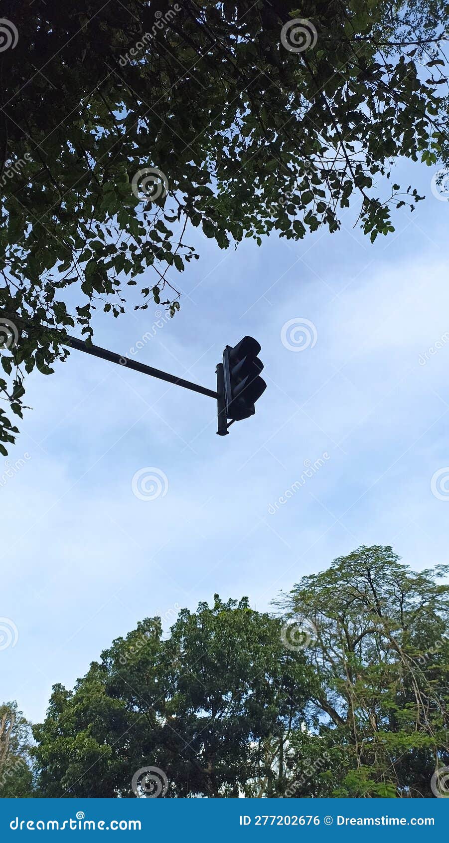Red Light on a Street with Trees Stock Photo - Image of sign, sunlight ...