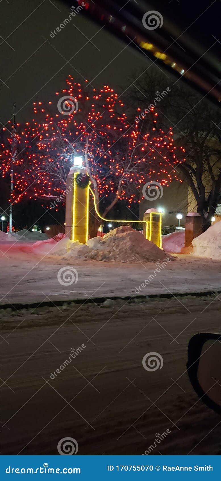 Red Lights on Tree Very Pretty Stock Photo - Image of pretty, lights ...