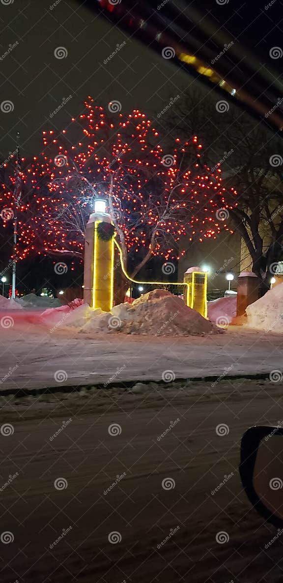 Red Lights on Tree Very Pretty Stock Photo - Image of pretty, lights ...