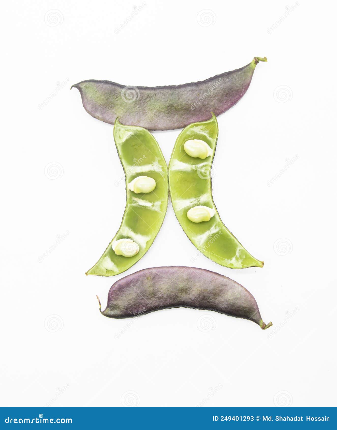 Red Lima Beans or Sheem Isolate on White Stock Image - Image of sheem ...