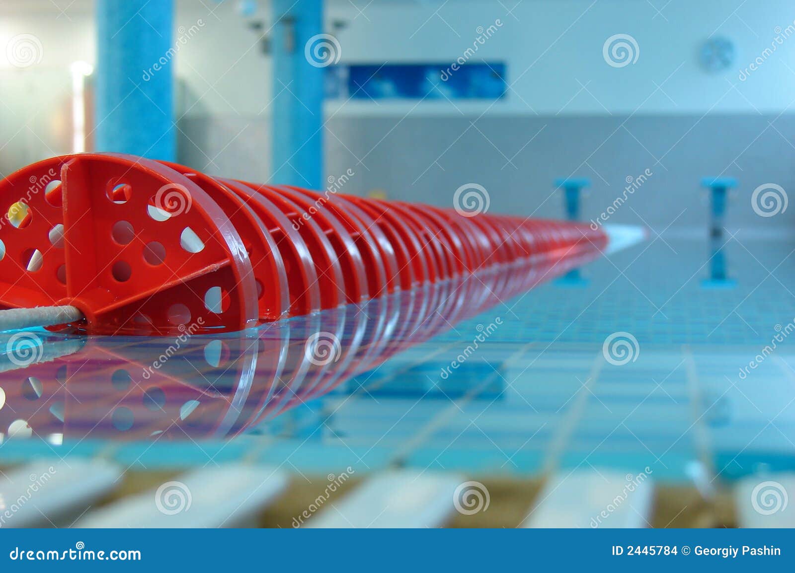 Red Line in swimming pool stock photo. Image of plastic - 2445784