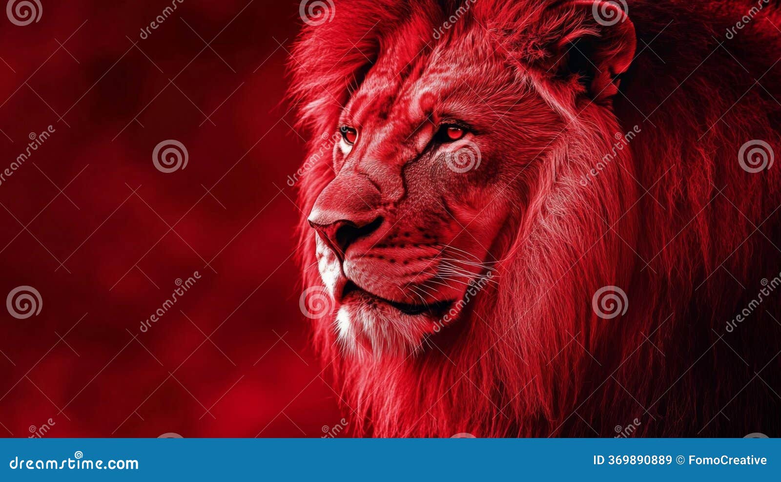 Intense Stare Of A Black Panther In Close-up Shot Against A Black ...