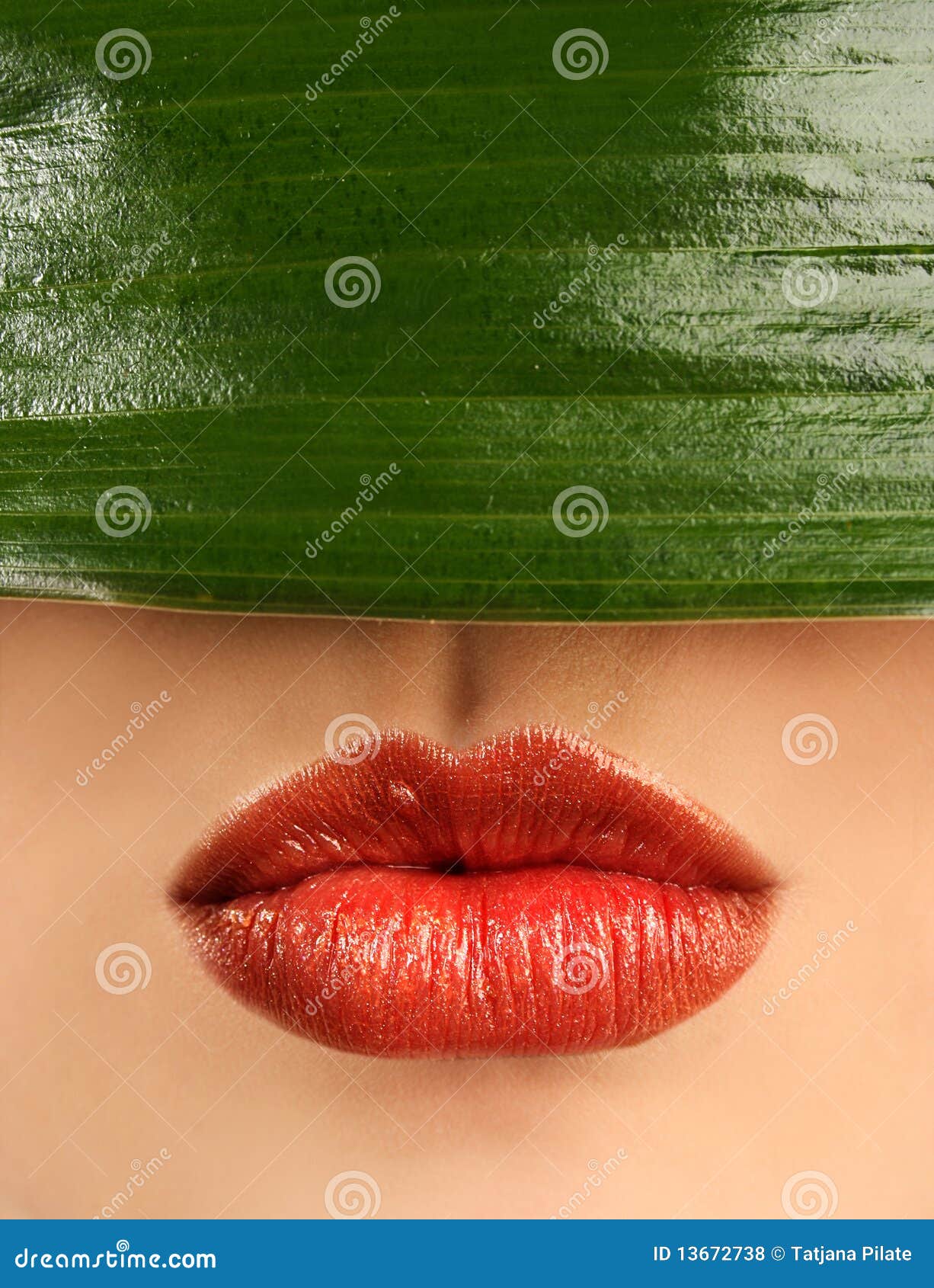 Red lips stock photo. Image of human, beautiful, lips - 13672738