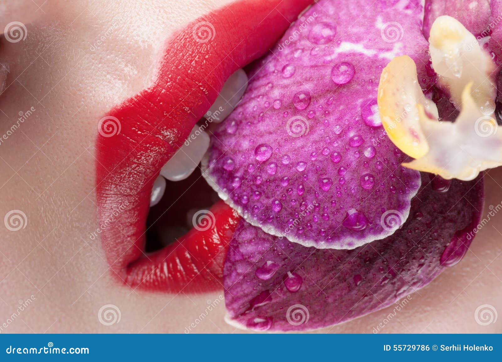 Red Lips on a Background of Lush Roses. Lips and Flower Close-up. Stock ...