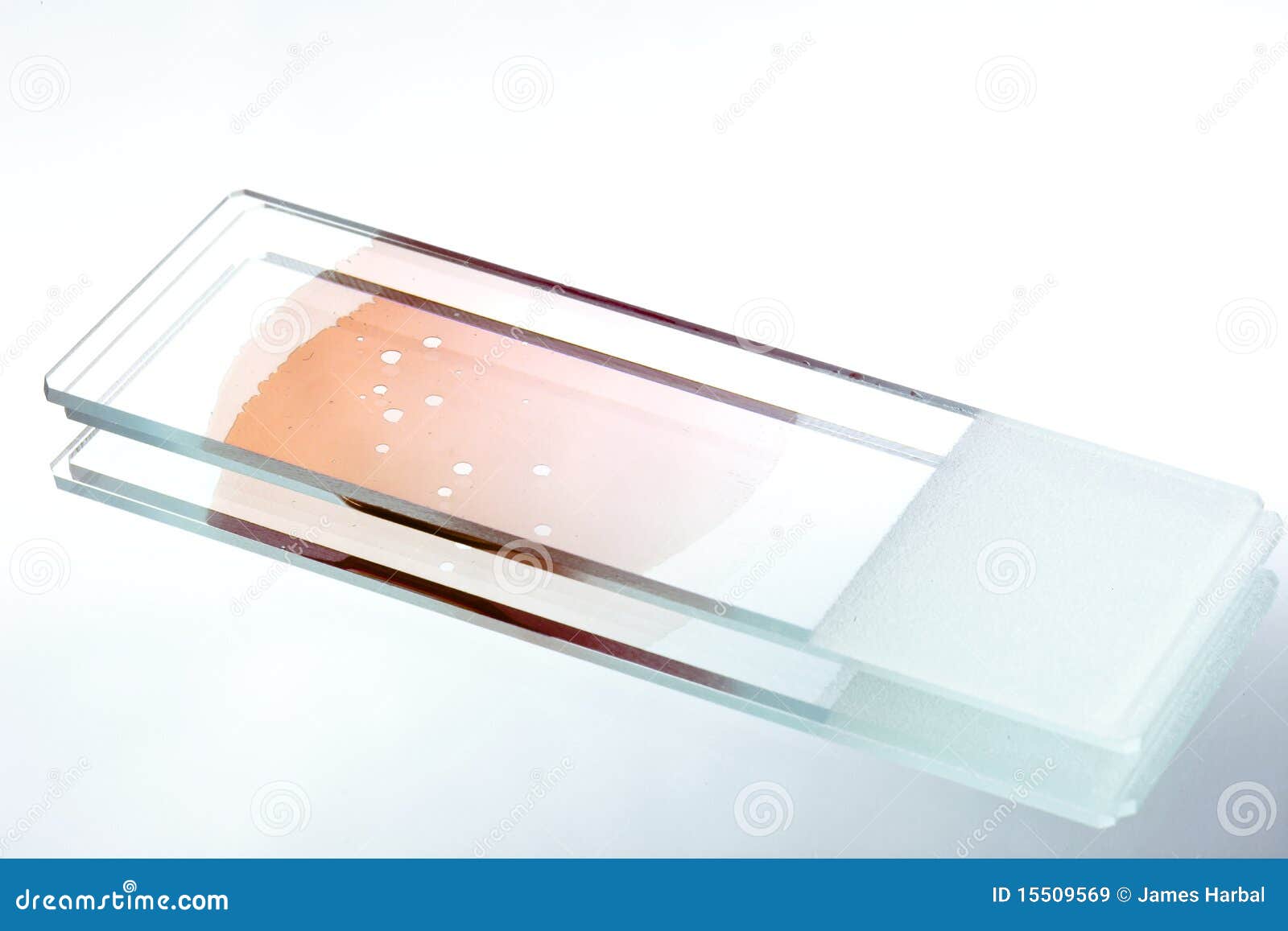Red Liquid Blood in between 2 Microscrope Slides Stock Image - Image of ...