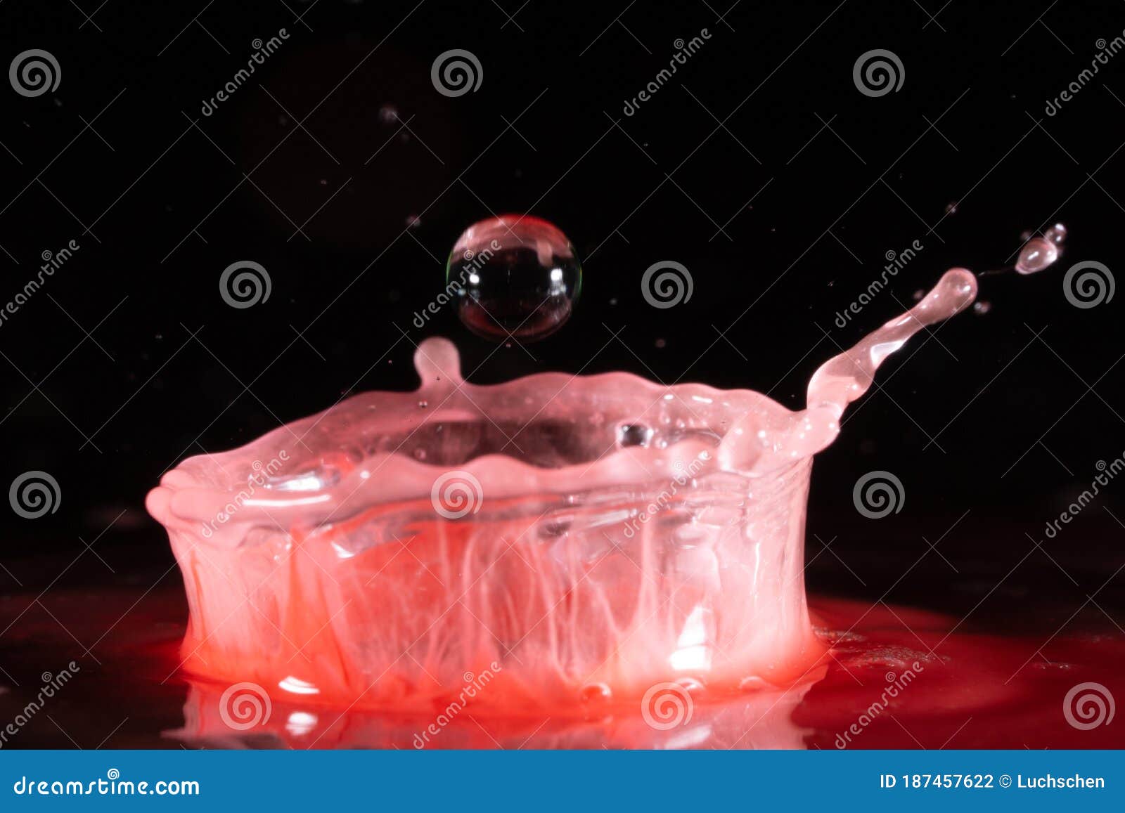 Red Liquid Ink Splash on Black Background Stock Photo - Image of blood ...